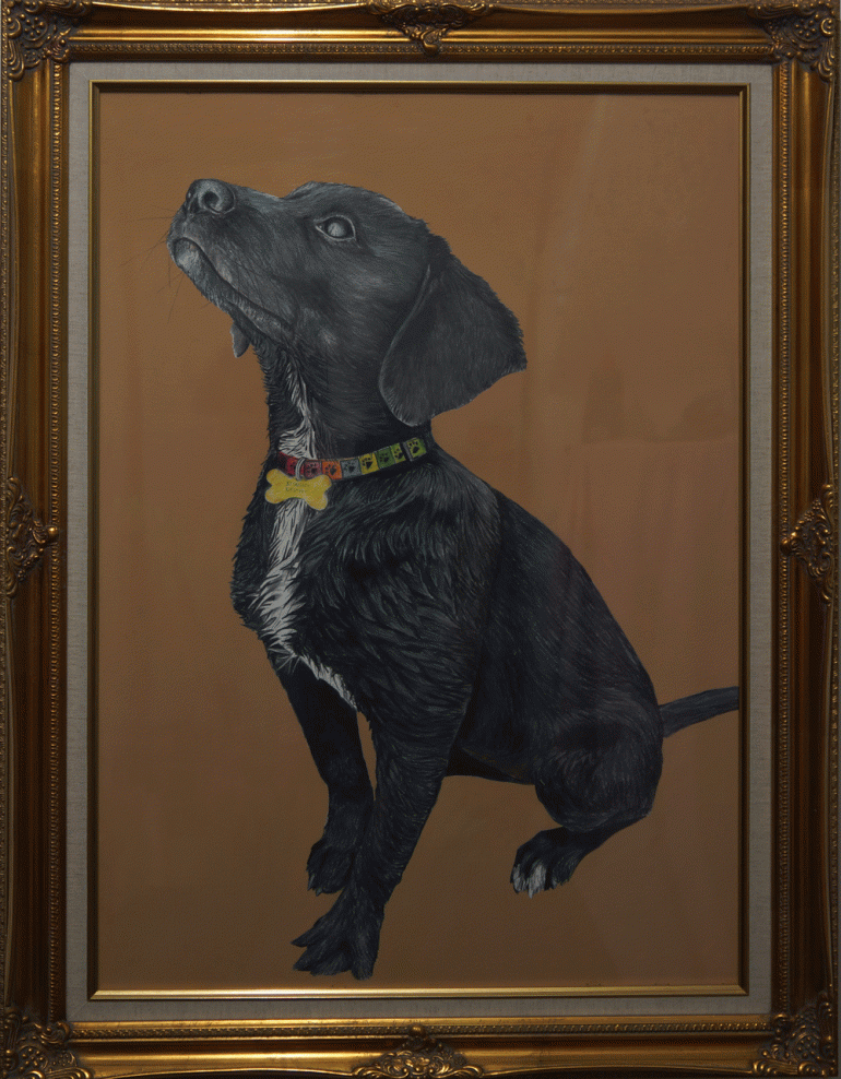 Animals – Angus Grant Art