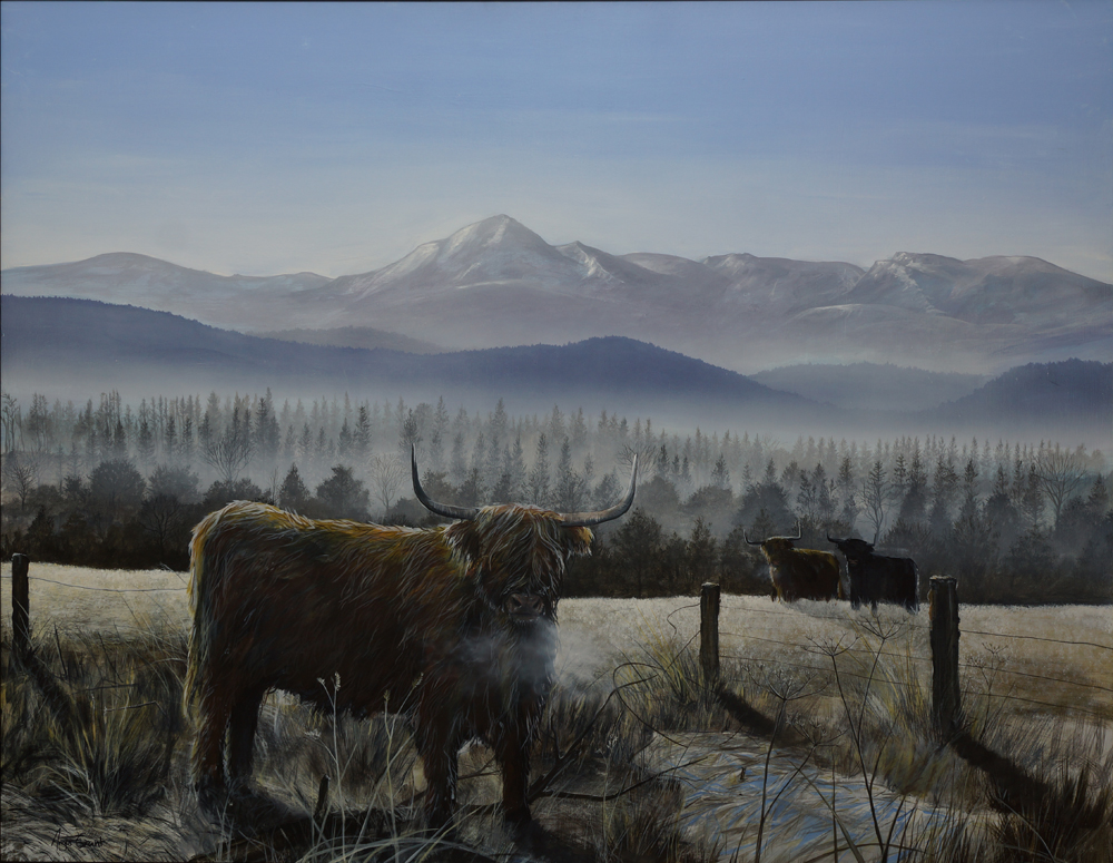 Commissions – Angus Grant Art