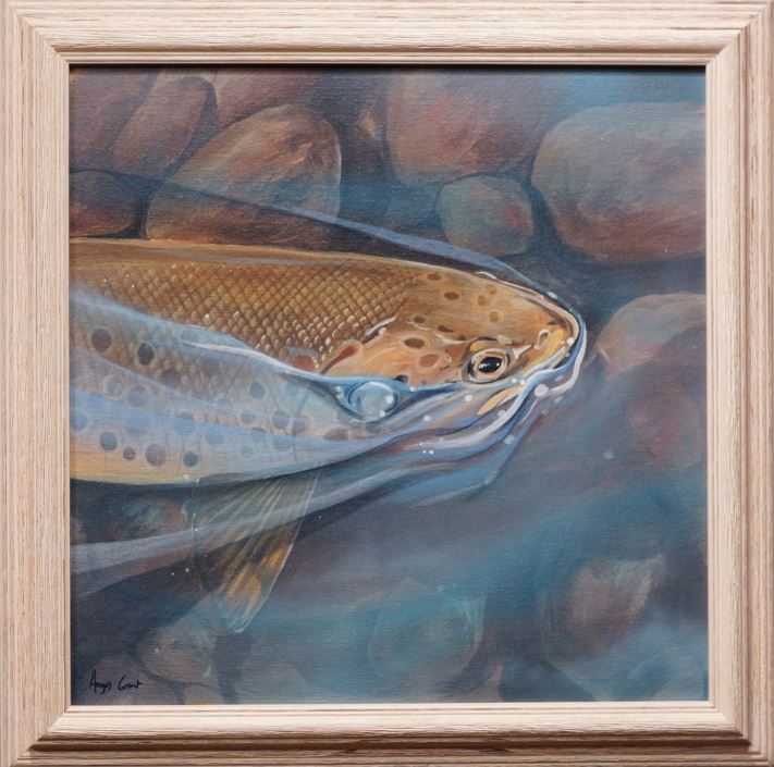 Galleries – Angus Grant Art