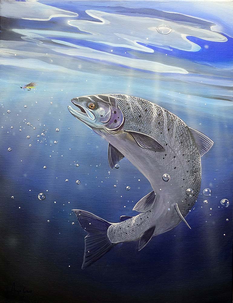 Galleries – Angus Grant Art